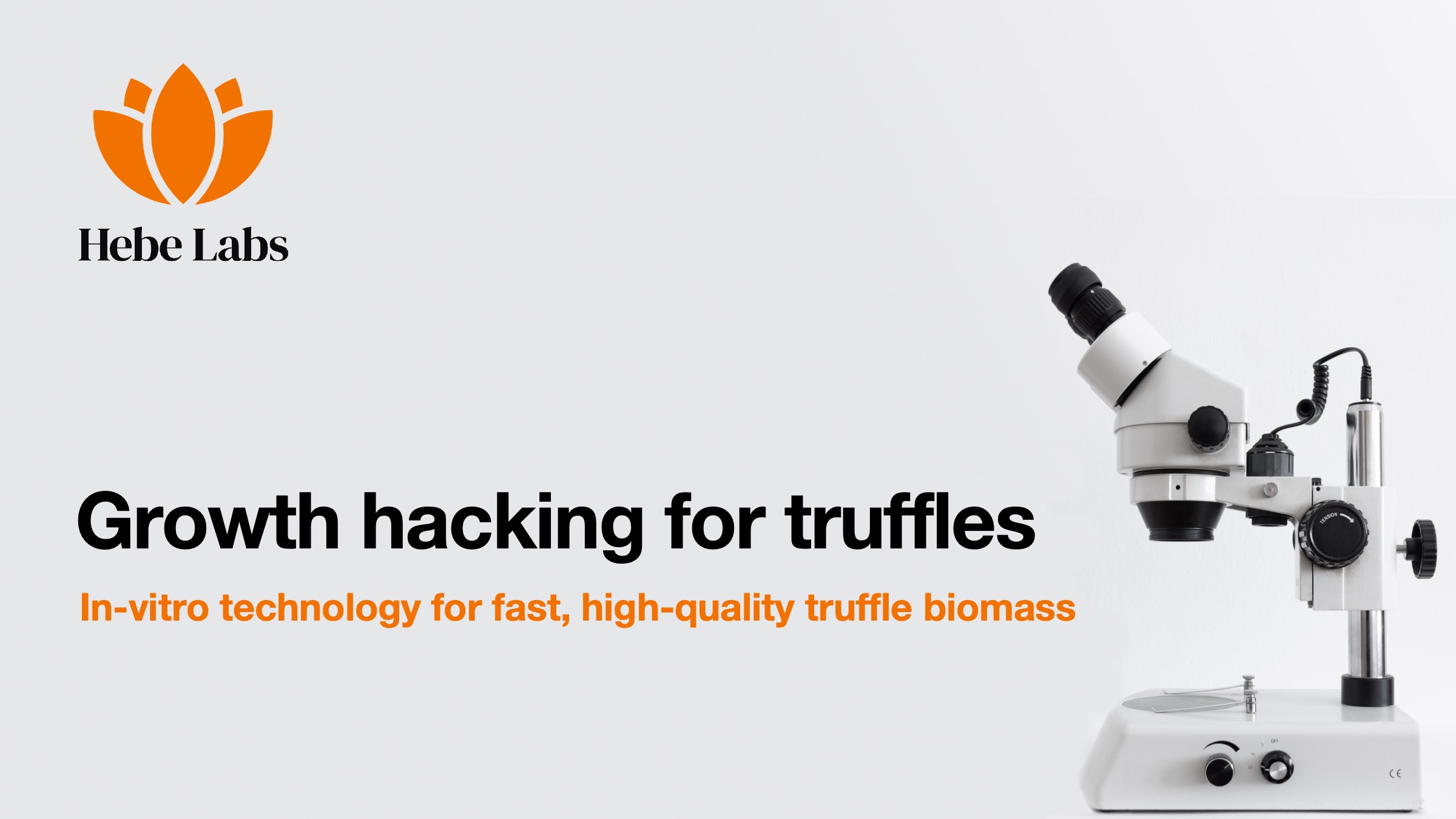 About — Growth hacking for truffles